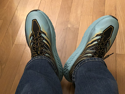 January 30 – My Blue-Footed Booby Shoes – THE FEISTY BLOG